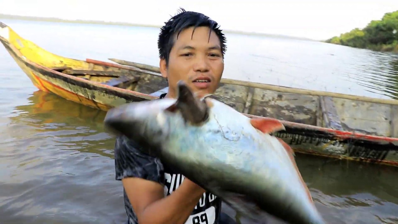 Wow!!! Amazing Boy Catching Big Fish In River On The Boat - Best Unique ...
