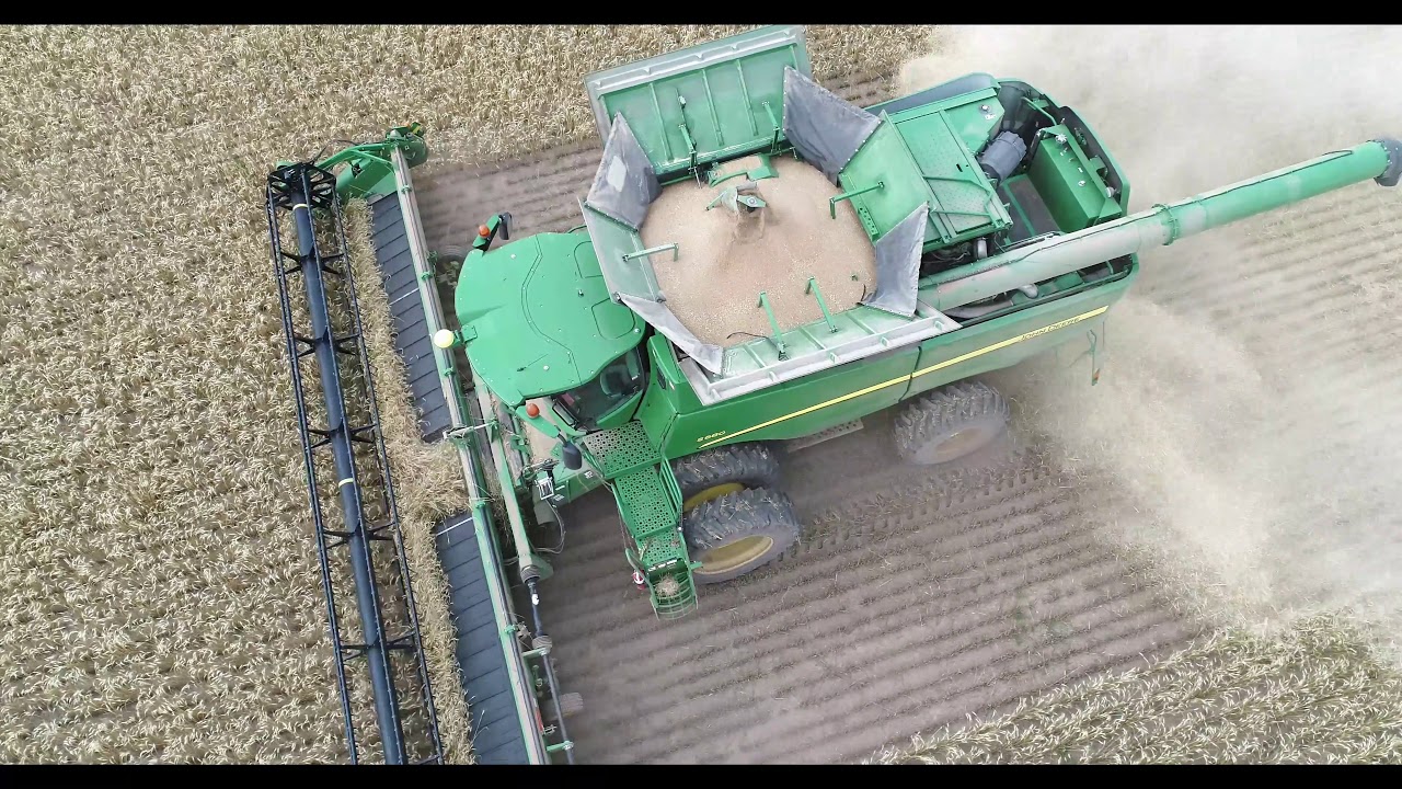 texas panhandle wheat harvest 2019 - YouTube