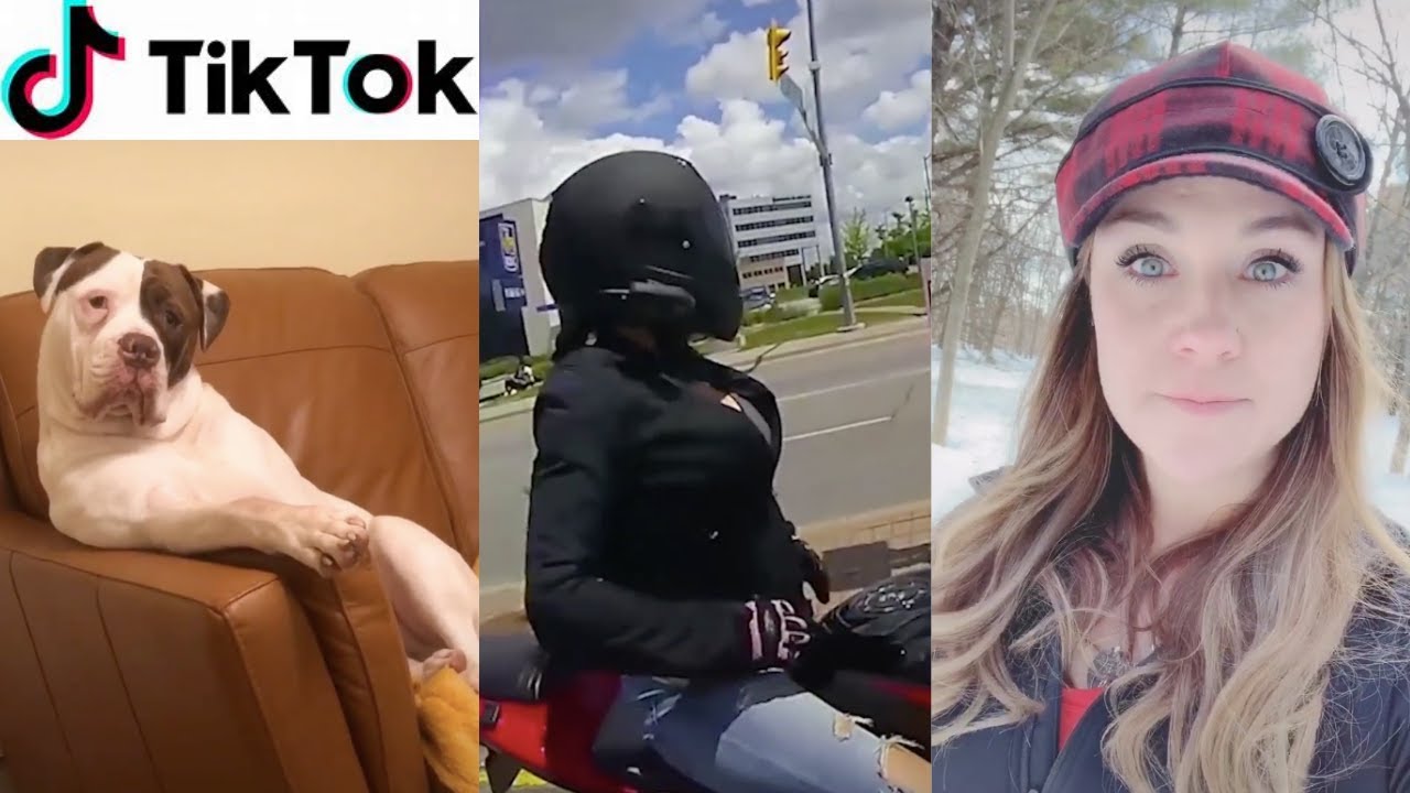 The Best Tik Tok Compilation Of March # 3 - YouTube