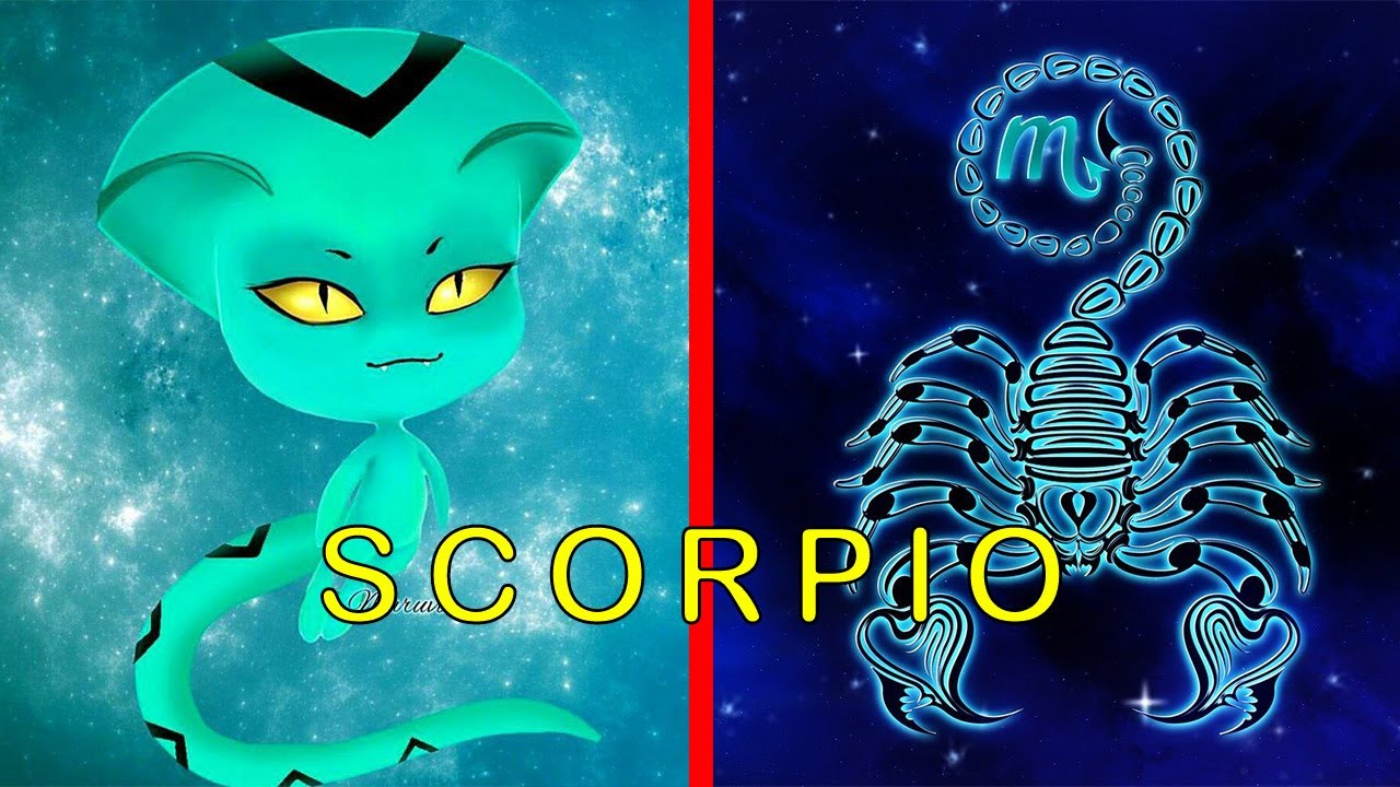 Miraculous ladybug as zodiac signs 60 photos - Astrologytoyou.com