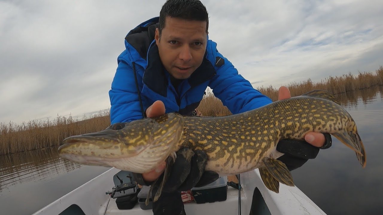 🛶 Cam asa arata paradisul pescarilor 🎣 . Delta Rasova, Lacul Vederoasa ...