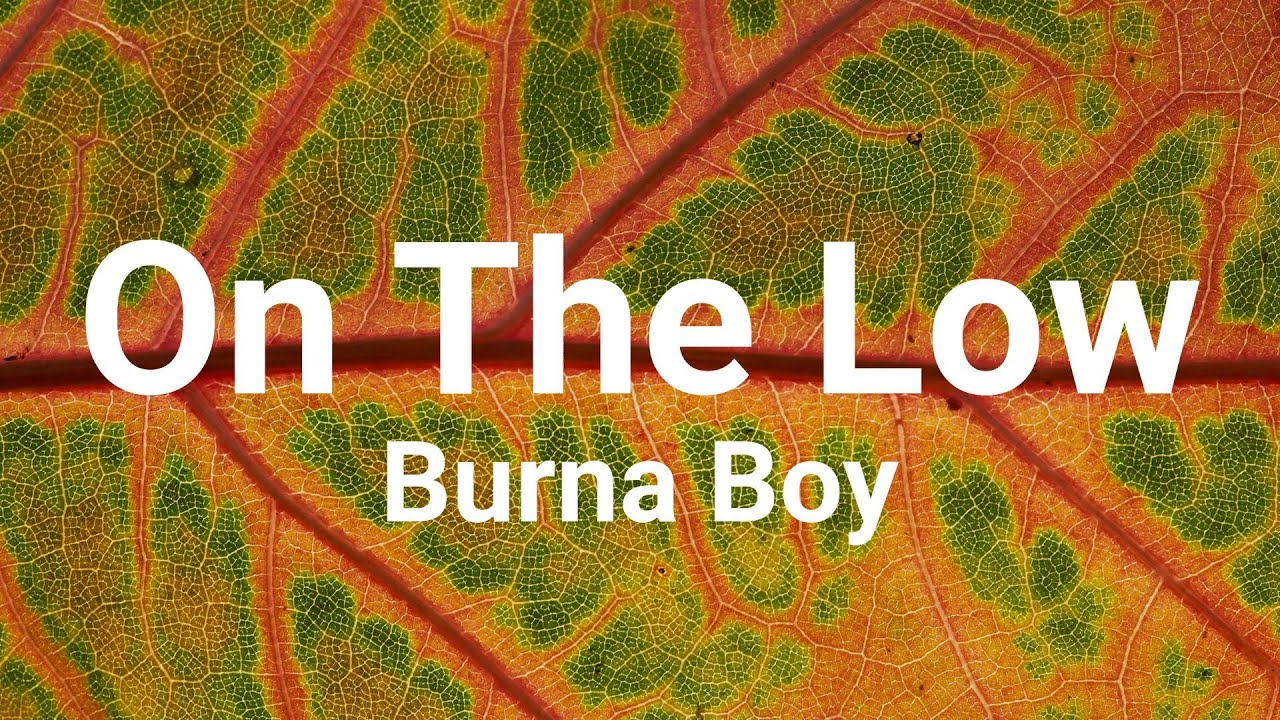 Burna Boy - On The Low (lyrics) - YouTube