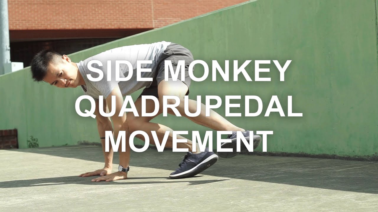Side Monkey Quadrupedal Movement - YouTube