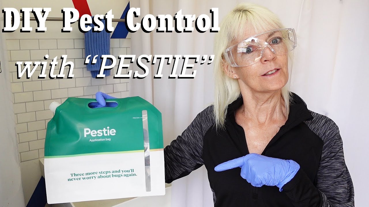 DIY Pest Control Made Easy with Pestie - YouTube