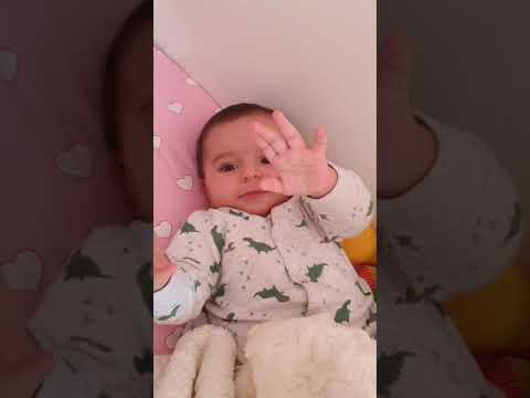 Mirzə Ələkbər Sabir. “Qarğa və tülkü”