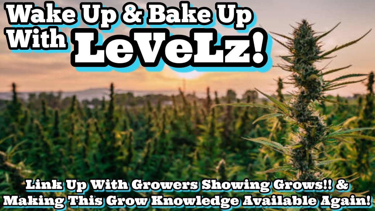 LEVELZ WAKE UP & BAKE UP WITH GROWERS IN THIS GROW COMMUNITY!! WHERE ...