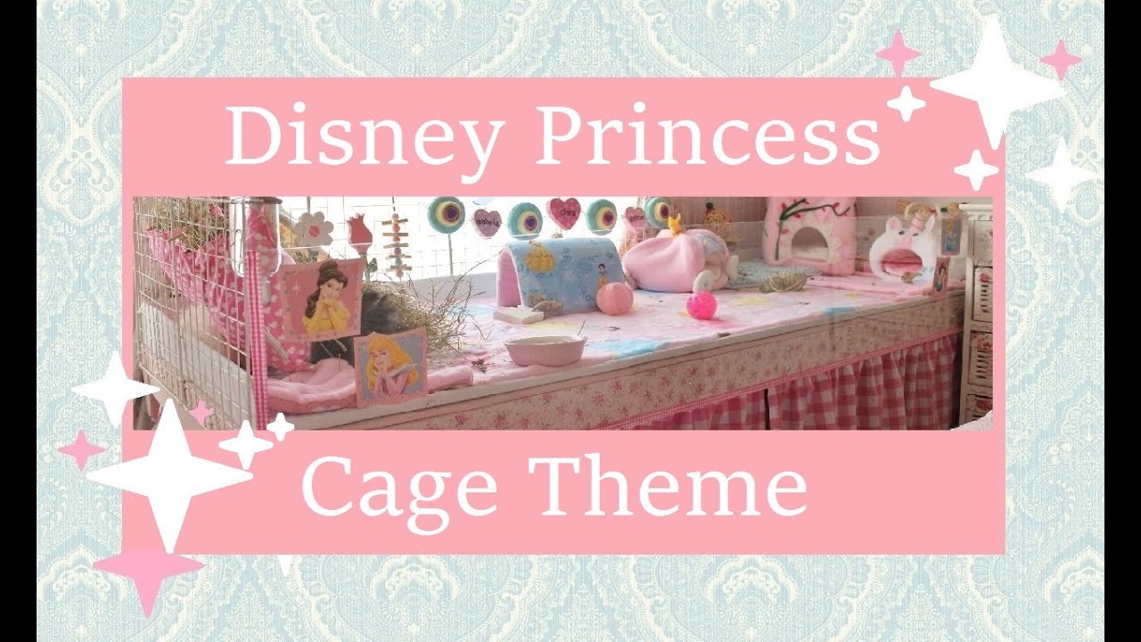 Disney Princess Guinea Pig Cage Tour - YouTube