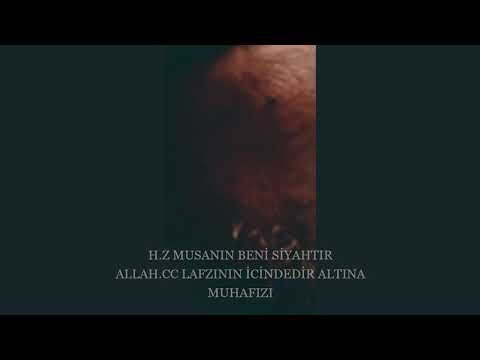imam mehdi h.z Musanın beni