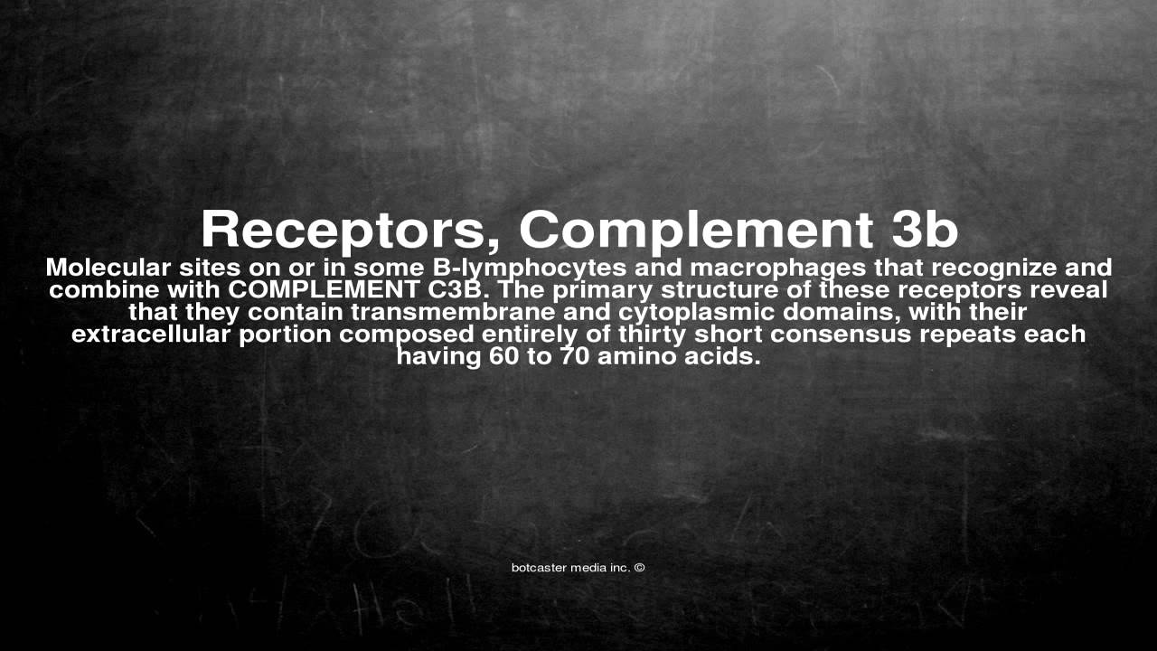 Medical Vocabulary What Does Receptors Complement 3b Mean YouTube medical-vocabulary-what-does-receptors-complement-3b-mean-youtube