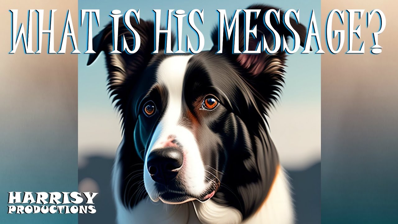 A Message From Doggo - Talking Dog Animation - YouTube