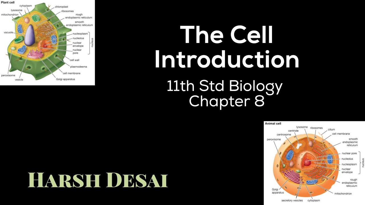 L-1 The Cell: Unit of Life (Introduction) Std 11 Biology Chapter 8 ...