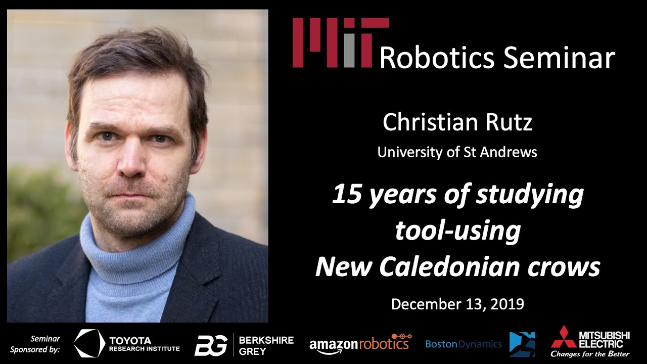 MIT Robotics - Christian Rutz - 15 Years of Studying Tool-Using New ...