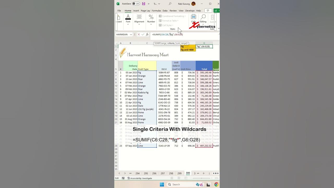 Conditional Sum In Excel Excel Tips And Tricks YouTube conditional-sum-in-excel-excel-tips-and-tricks-youtube
