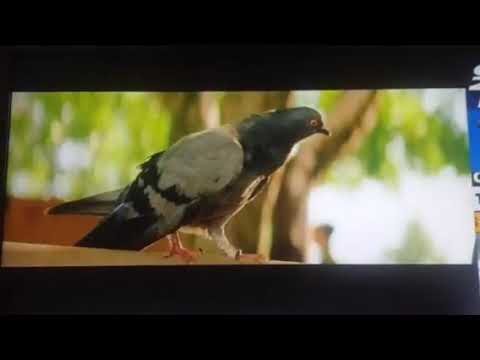 Olg The Big Spin Commercial 2017 First Video Of 2018 - YouTube