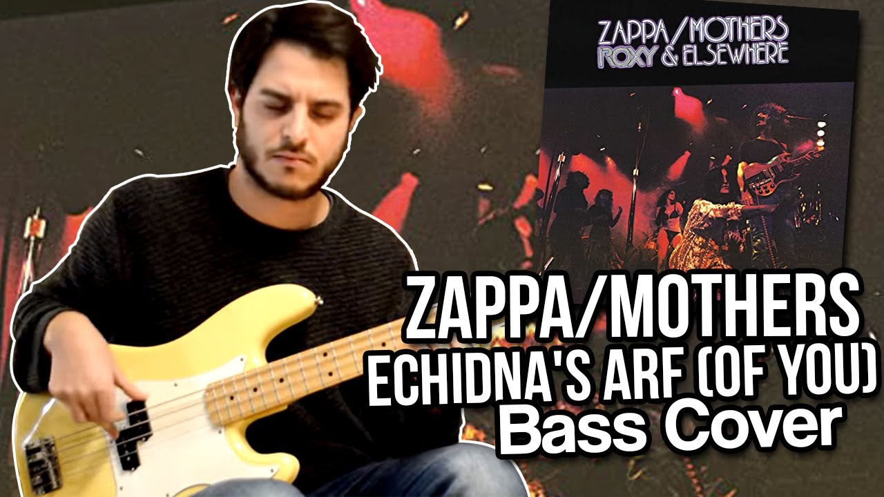 Frank Zappa - Echidna's Arf (Of You) Bass cover // Better call John ...