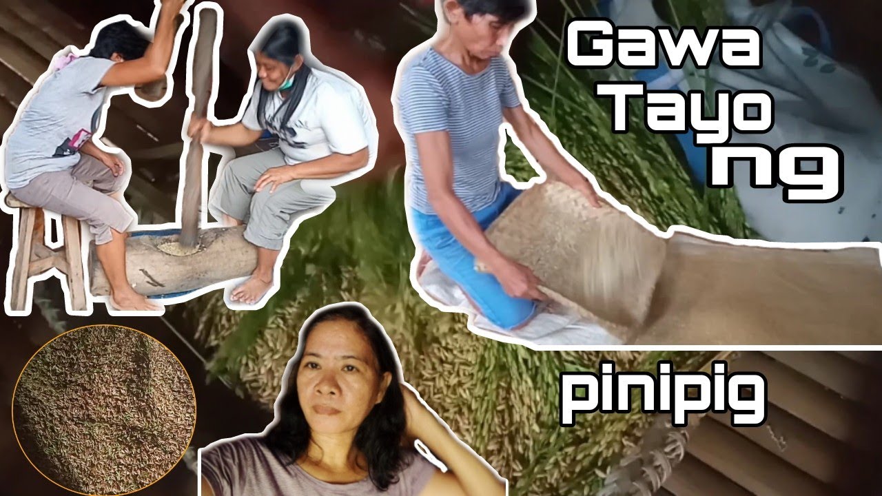 How To Make Pinipig - YouTube