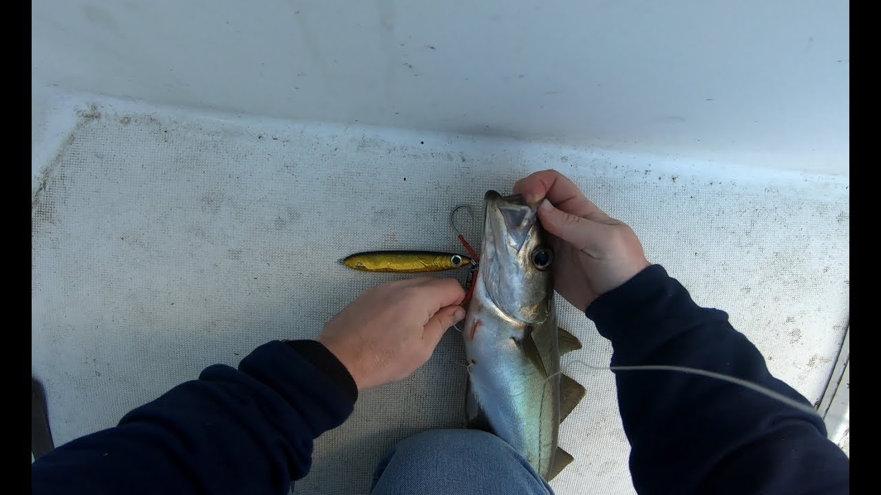 Slow Jigging For Pollack - 4K Fishing - YouTube