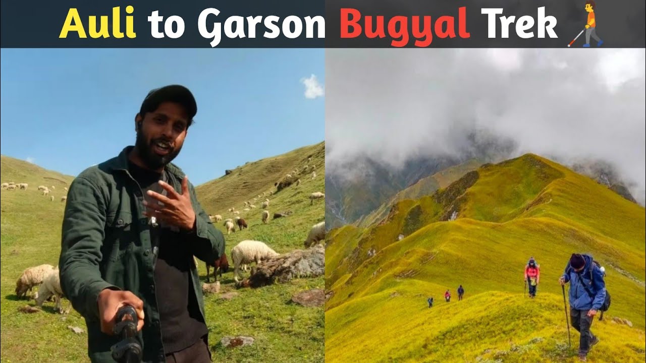 Auli to Garson Bugyal Trek | one of best trek in auli - YouTube