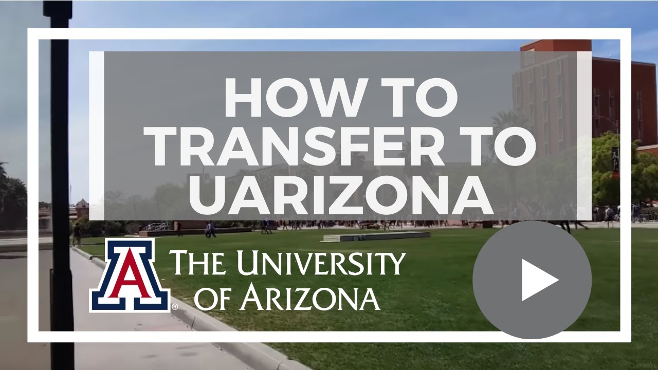 How to transfer to the University of Arizona #UArizona #CollegeTransfer ...