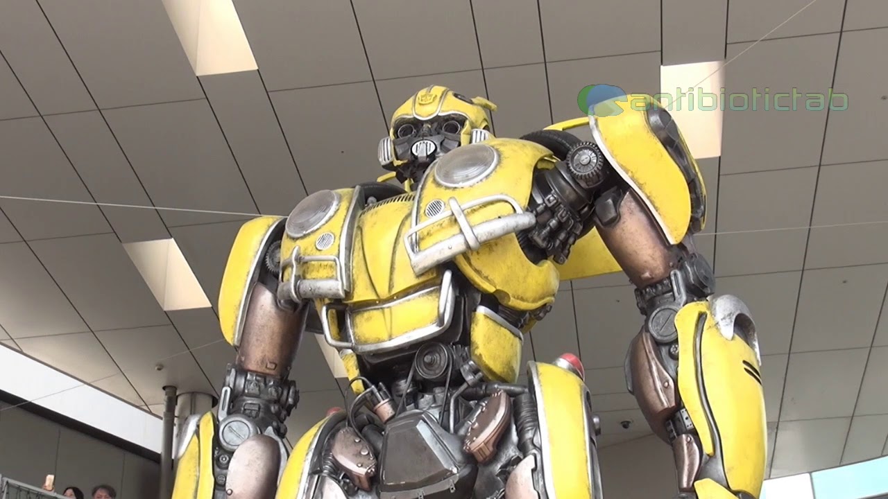 Poor Bumblebee - YouTube