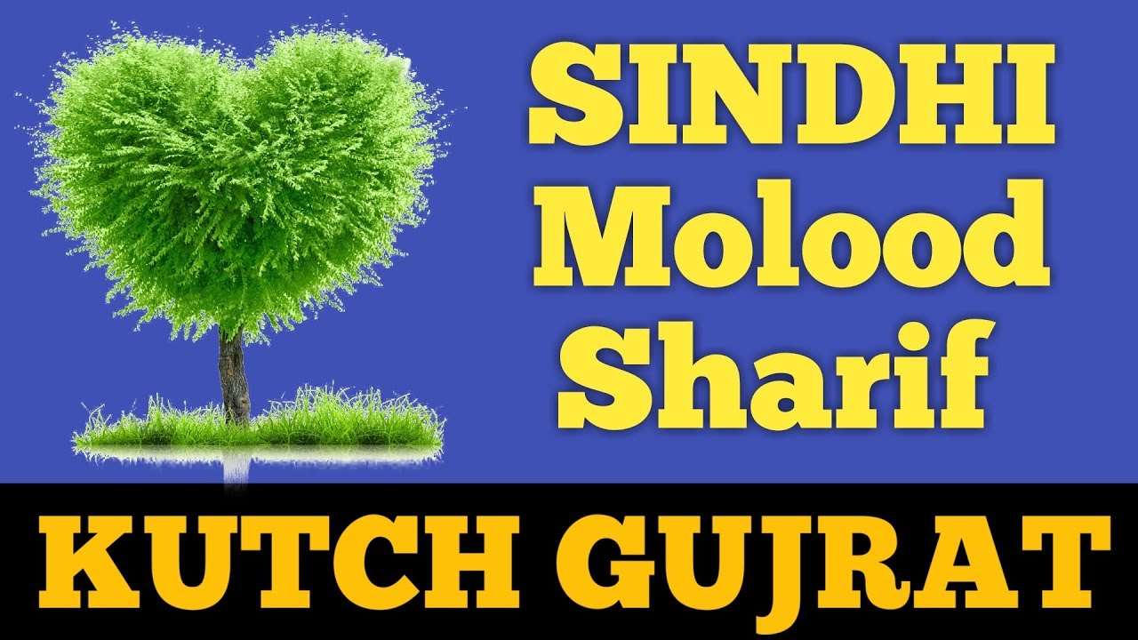 New Molood sharif...... 2019 - YouTube