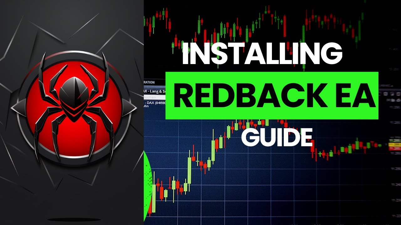 Sign Up and Loading Redback EA on MT4 & MT5 Setup in Minutes! # ...