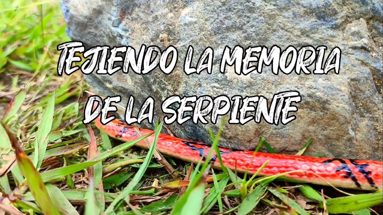 Tejiendo la memoria de la serpiente (Tejido del chumbe Nasa) Escuela ...