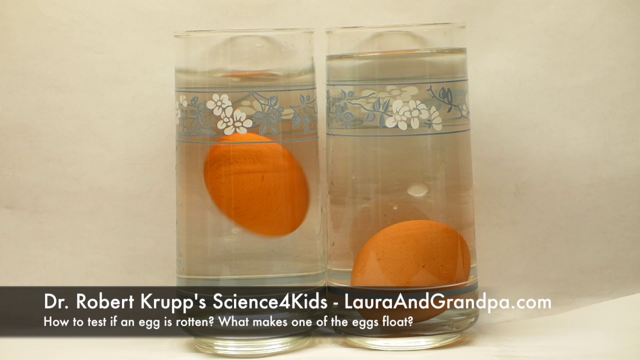 Rotten Egg Test - YouTube