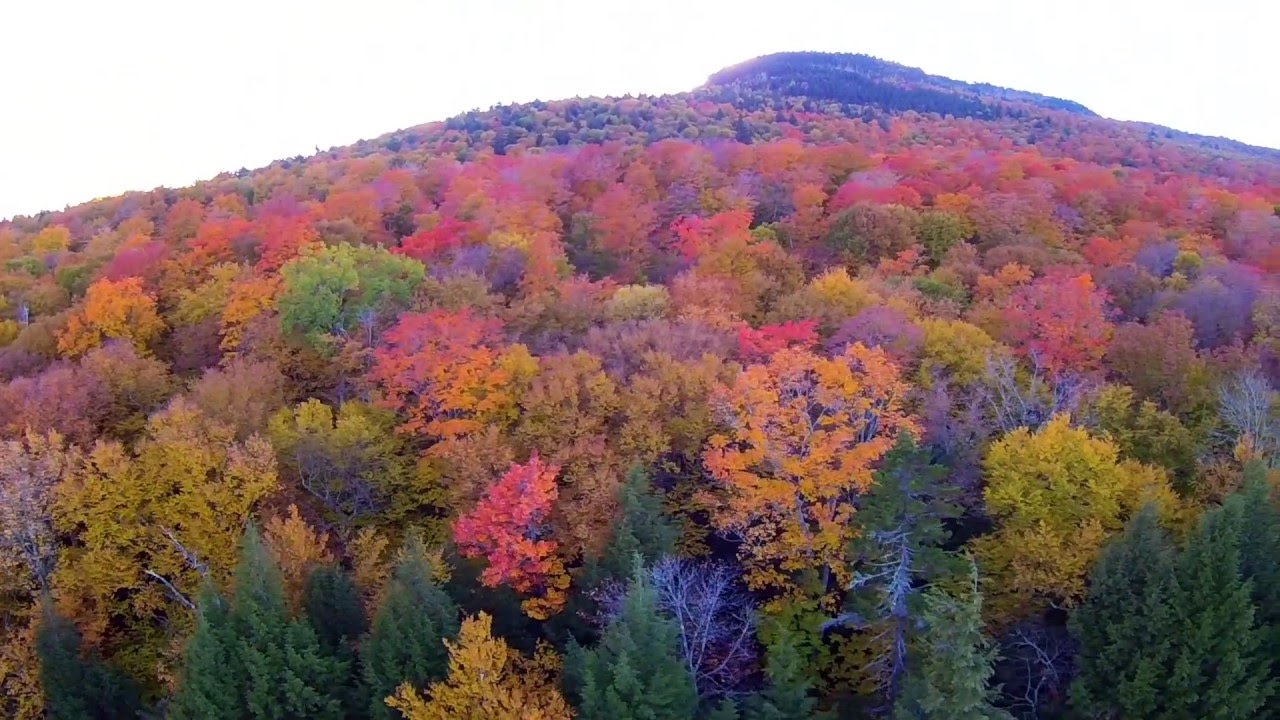 Sting - The Windmills of Your Mind: Fall Foliage Drone Flight over ...