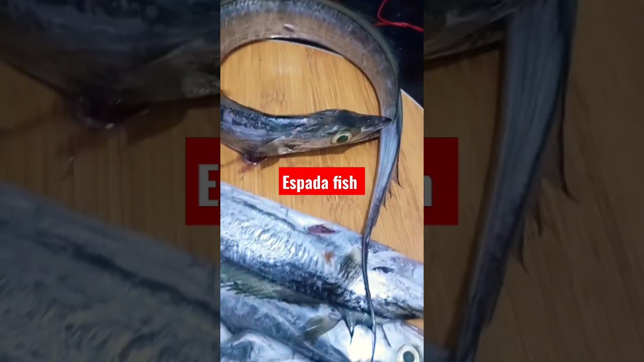 The espada fish.. by Tate Blogs - YouTube