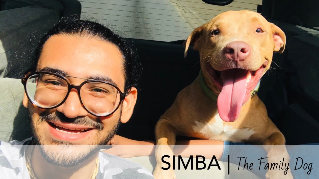 SIMBA | The Family Dog - YouTube