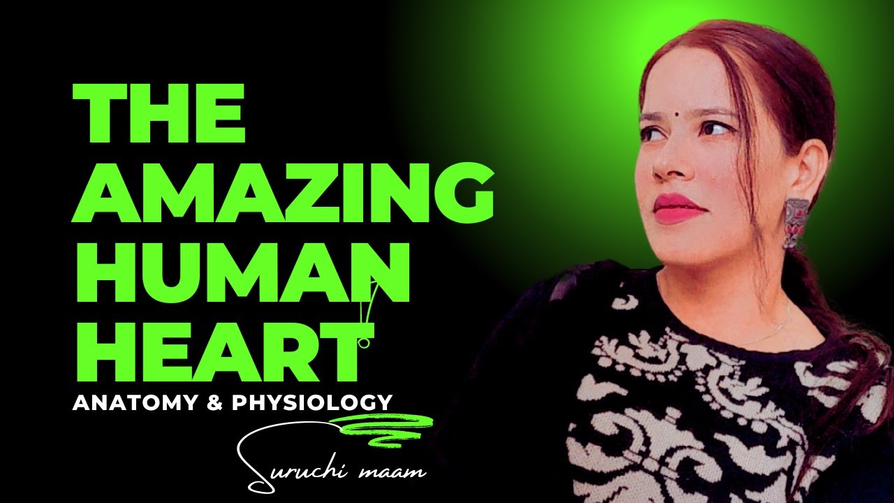 How the Human Heart Really Works (and Why You Should Care) - YouTube