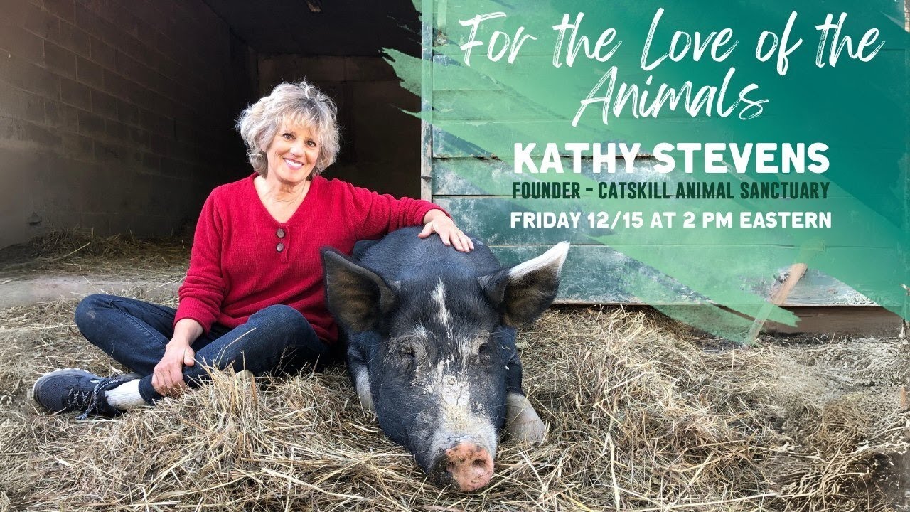 For the Love of the Animals - Rip Visits with Kathy Stevens, founder of ...