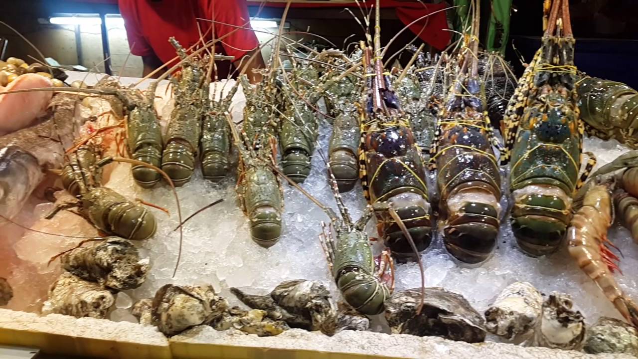 Seafood Koh Samui, Thailand - YouTube