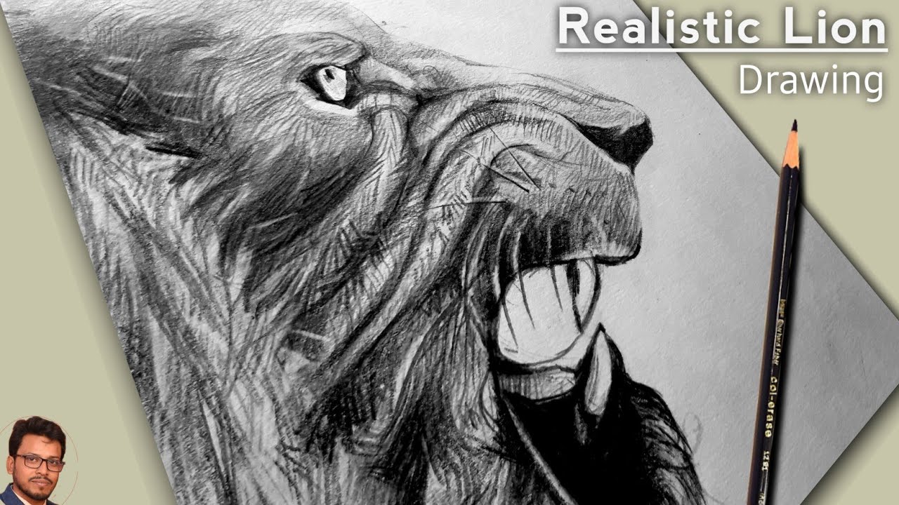 How to draw Realistic Lion /easy Lion drawing/palash swar - YouTube
