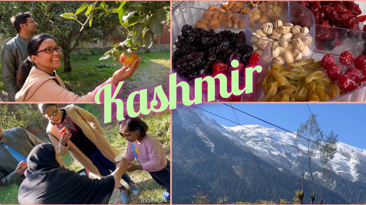 Authentic Kashmiri kesar and apple valley visit | places to visit from ...