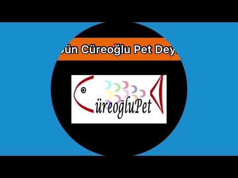 CÜREOĞLU PET DE BALIK YEMLEME