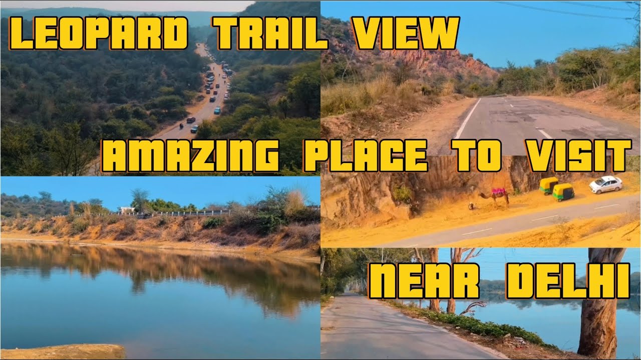 LEOPARD TRAIL GURGAON / ARAVALI HILLS, An Amazing 😍 Place for Adventure ...
