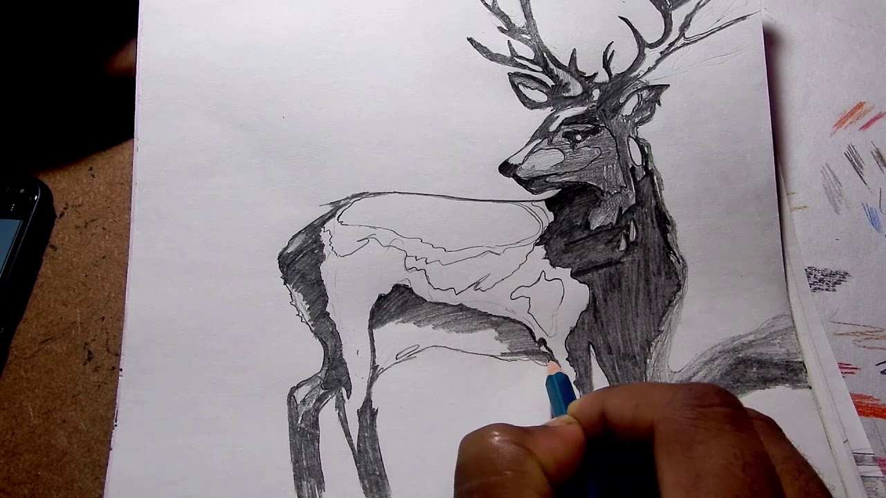 How to Draw a DEER with Pencil | Easy to Draw | Gratify Artistic - YouTube