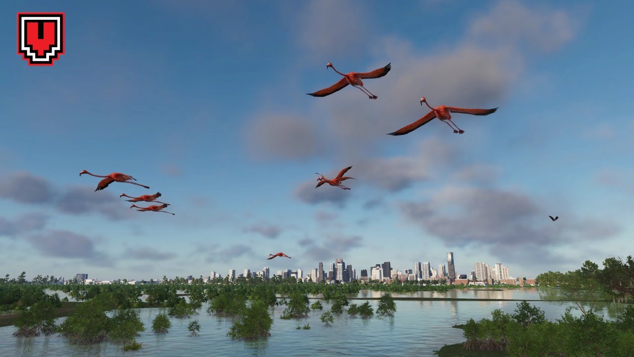 THE CREW 2: Pink (Flamingo) // Wildlife photo location - YouTube