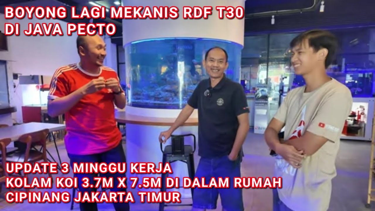 SIKAT HABIS STOK RDF LOW WATT T 30 DI JAVA PETCO | PEKERJAAN KOLAM KOI 42 TON JAKARTA TIMUR ...