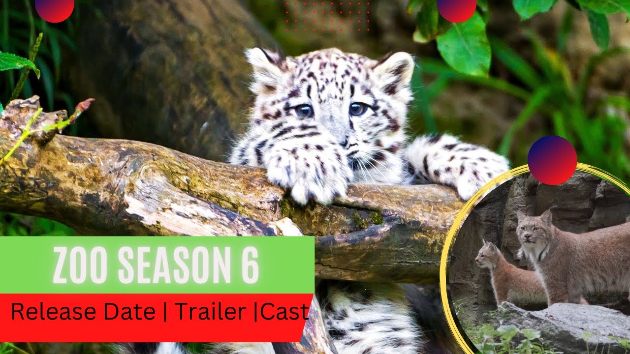 Zoo Season 6 Release Date | Trailer | Cast | Expectation | Ending ...