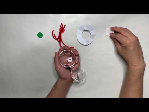 Make Your Own Eye Model Ornament