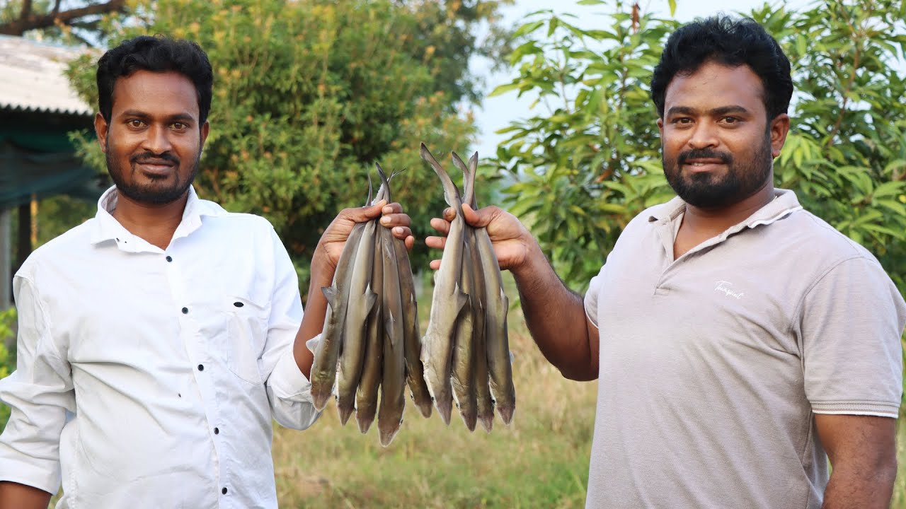 Cook Shark Recipe || Sora Pottu || Scrambled Fish Sura Puttu || Baby ...