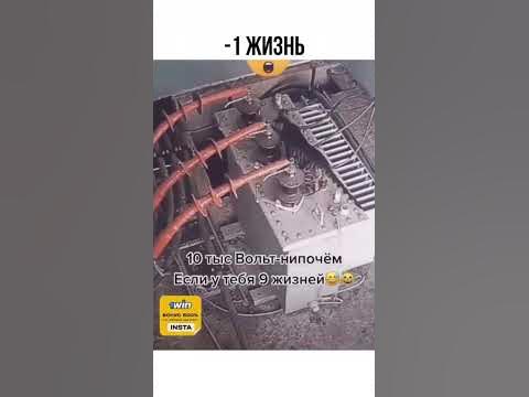 кот и электричество😱🤦 - YouTube