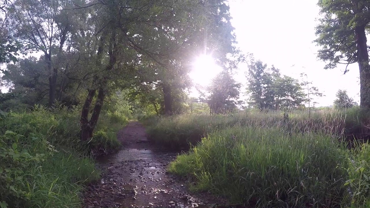 Creek crossing at the Health Valley Trail in Waterloo, ON - YouTube