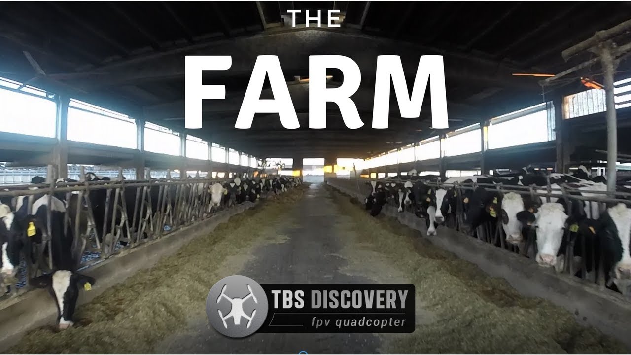 The Farm - TBS Discovery CC3D - YouTube