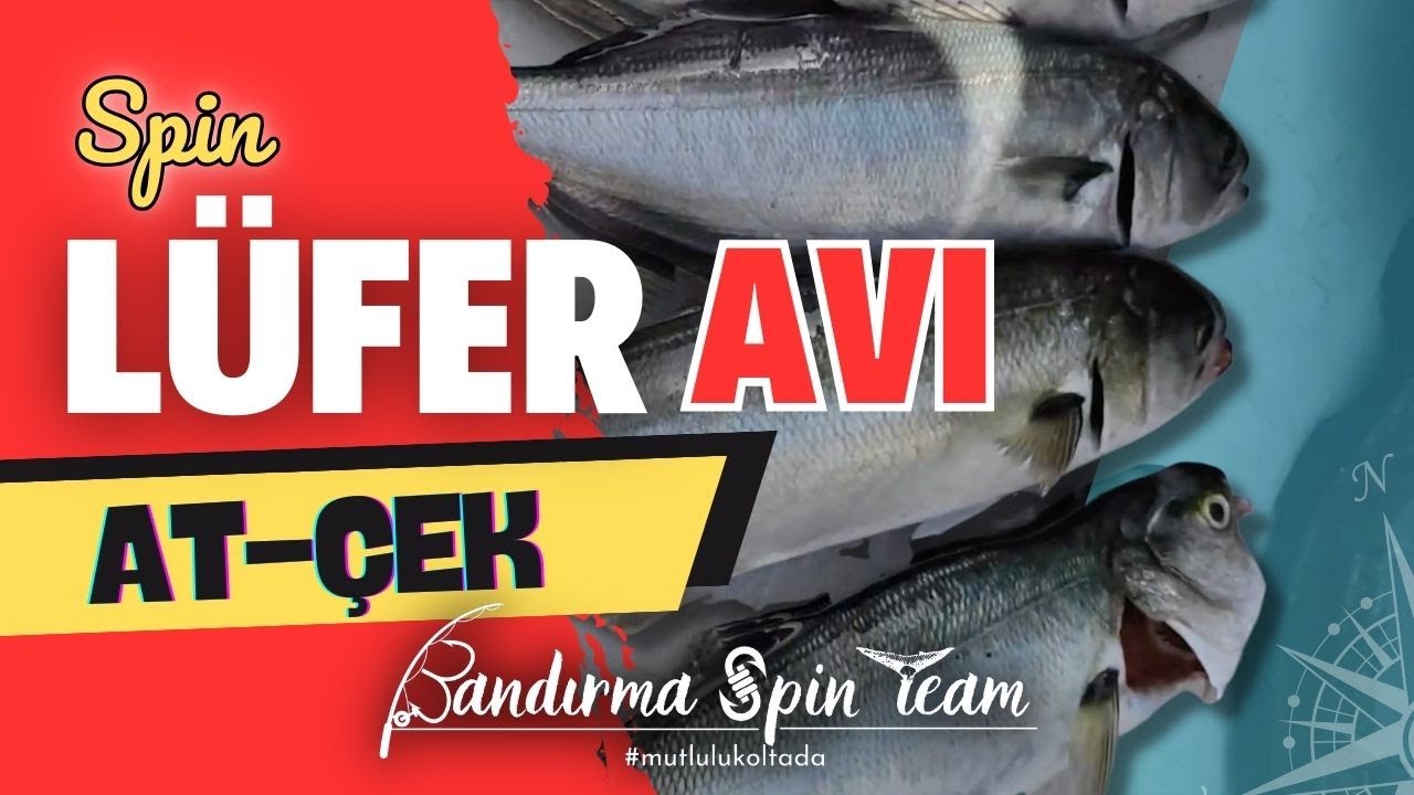 AT ÇEK LÜFER AVI - YouTube