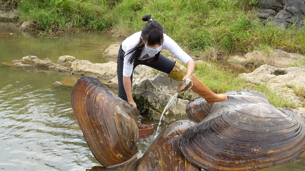 💋The girl unexpectedly obtained a giant clam, and the pearl was ...