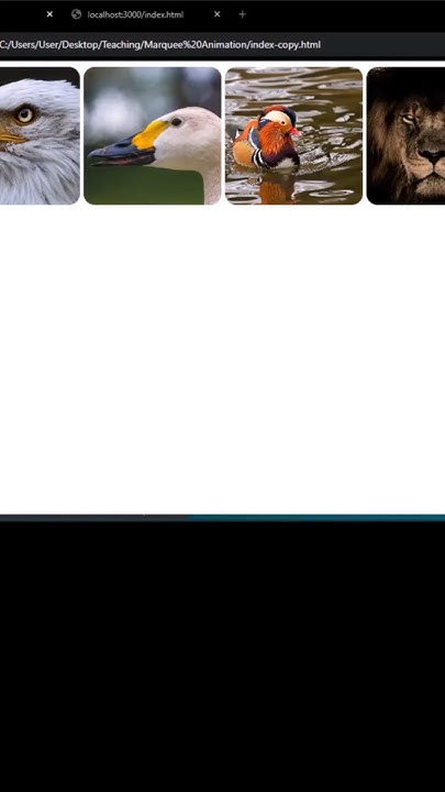 Marquee Animation | HTML CSS - YouTube